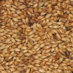 Craft Beer Nitro Cold Brew – อุปกรณ์ เบียร์ ไนโตร มอลต์ ฮอพส์ ยีสต์